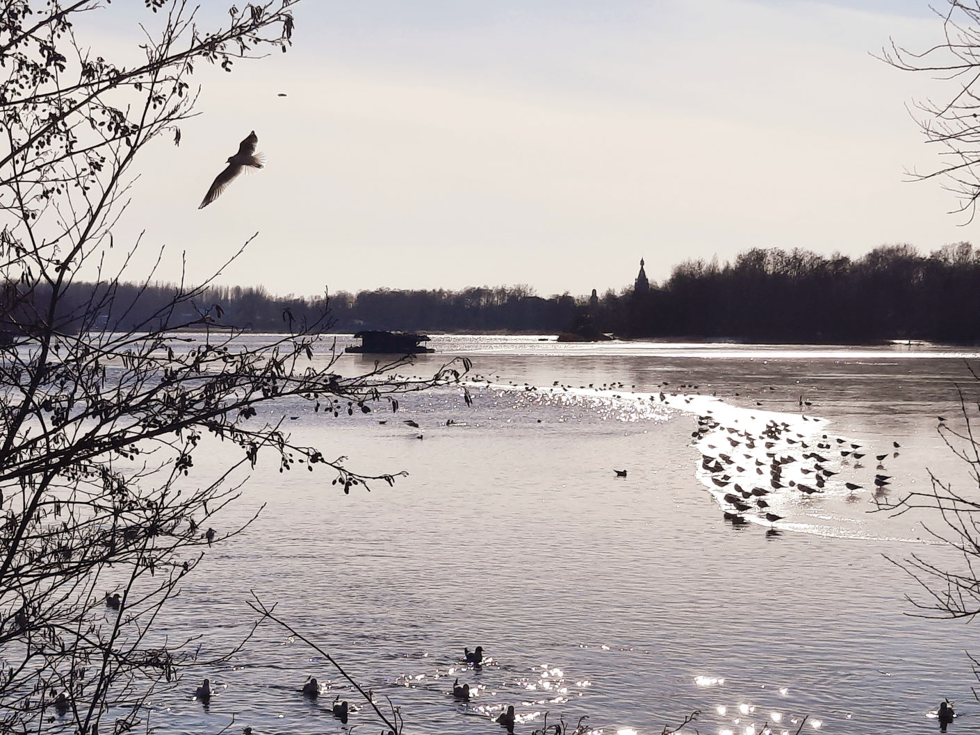 Les Randos de Marjo - Parc naturel régional Scarpe-Escaut